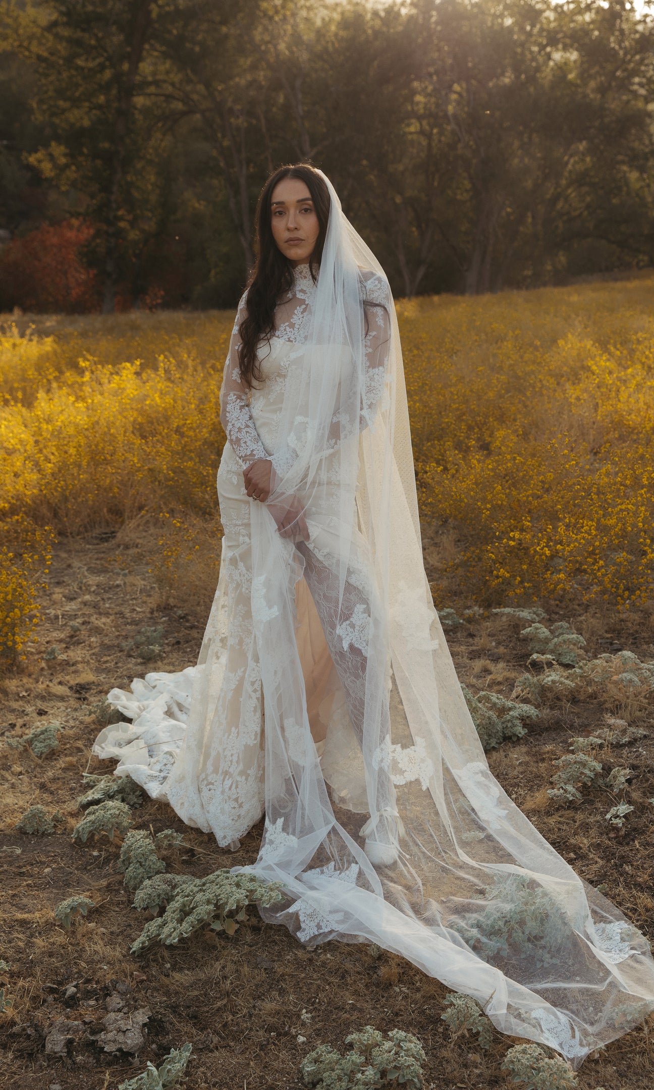 Classic Collections – Daughters of Simone